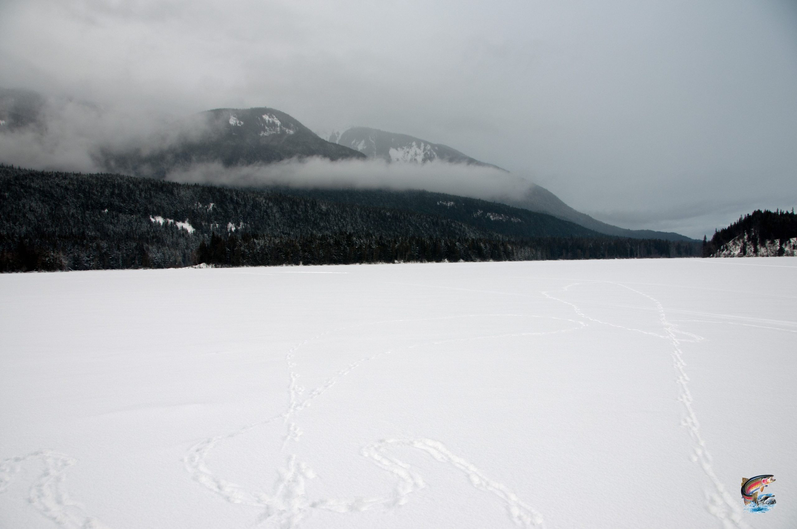 Kitwancool Lake – Fishing Northwest British Columbia