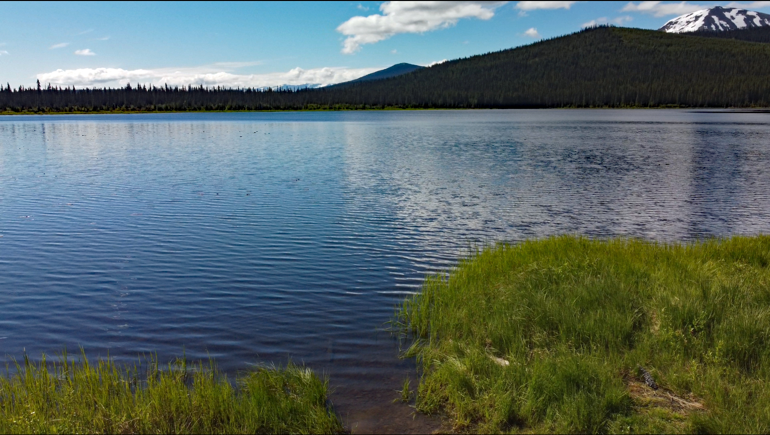 Aldrich Lake aka Loon Lake – Fishing Northwest British Columbia